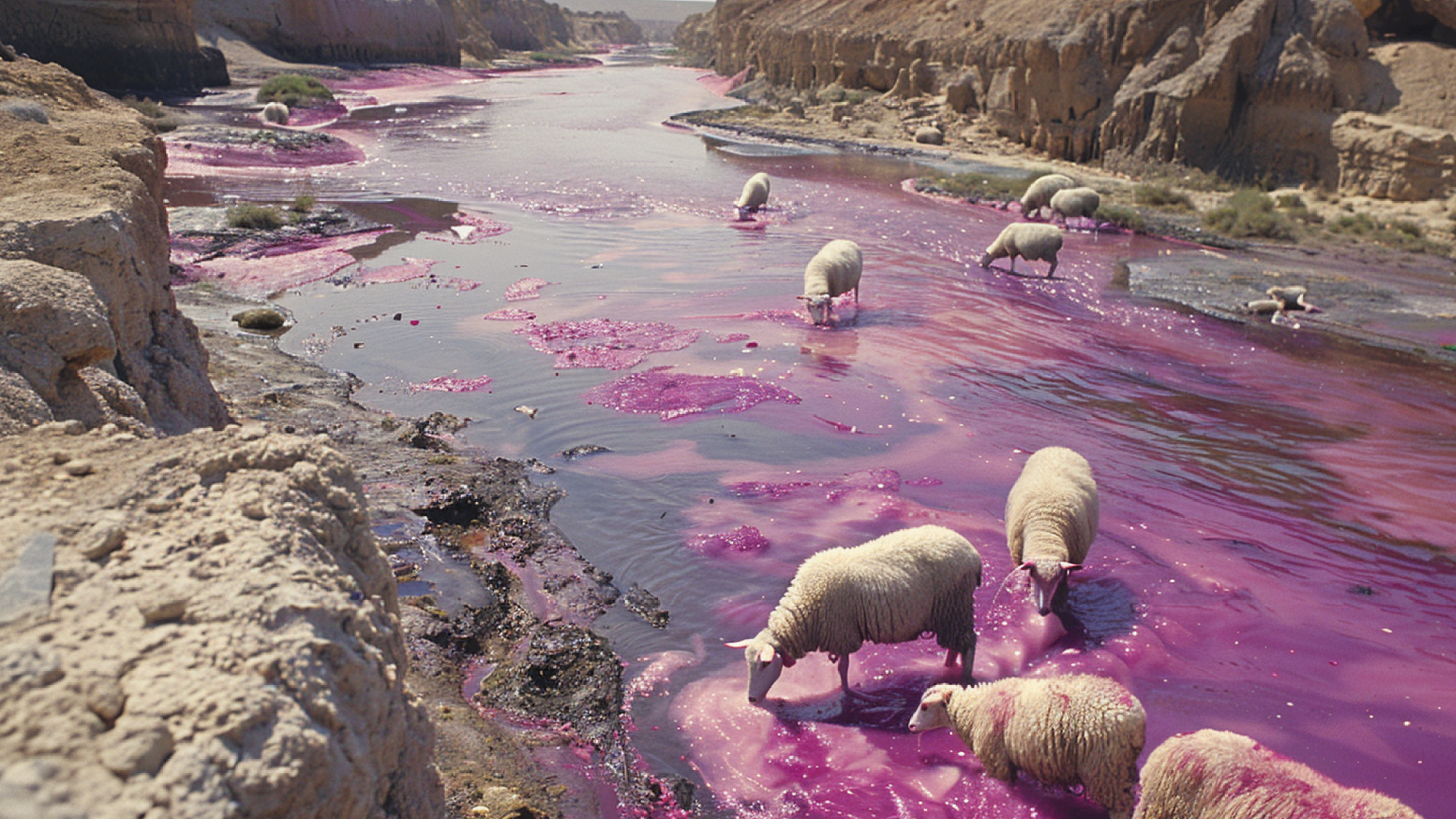 India Gabb — Material Ecology